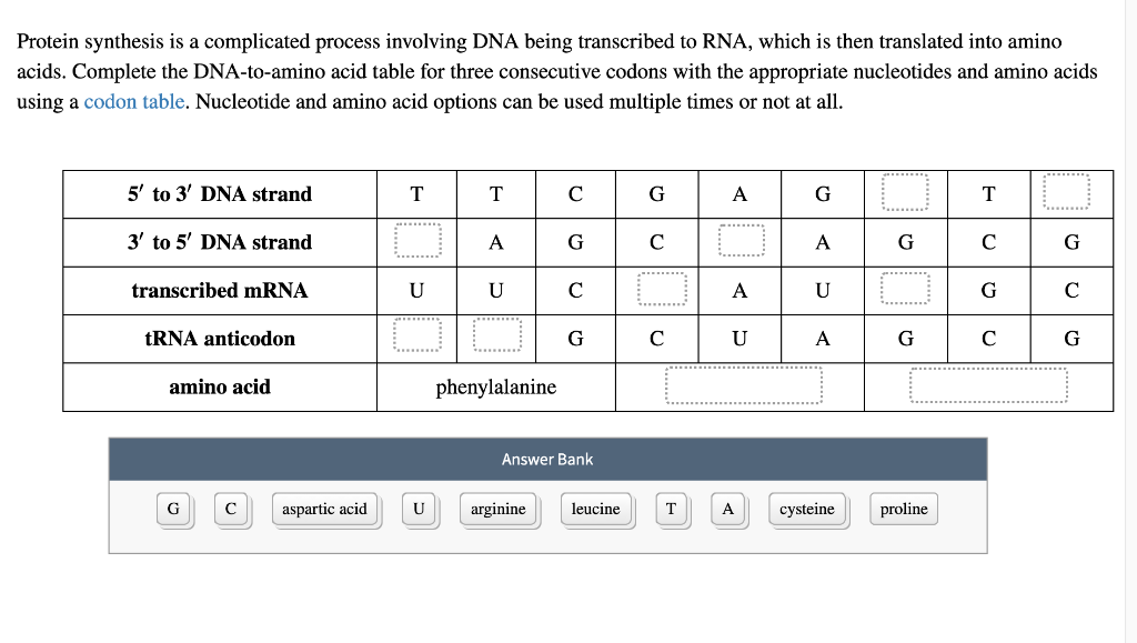 Solved Protein synthesis is a complicated process involving | Chegg.com