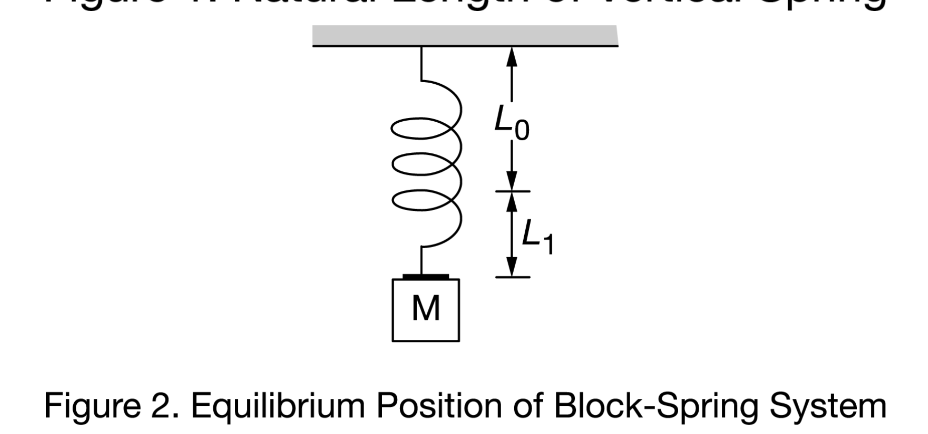 Solved lll LO Figure 1. Natural Length of Vertical Spring | Chegg.com