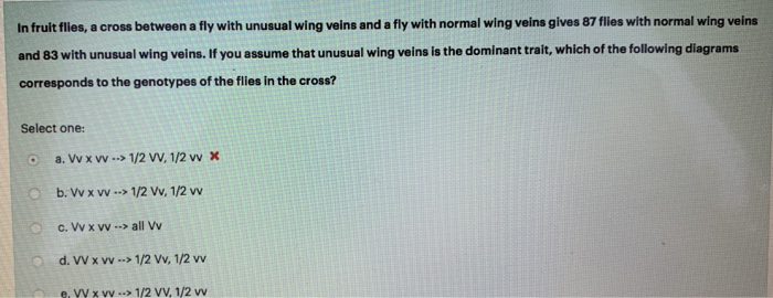 Solved In fruit flies, a cross between a fly with unusual | Chegg.com