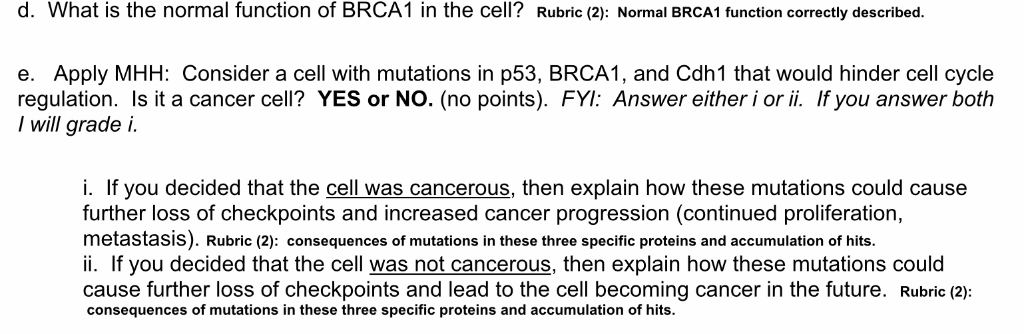 Solved d. What is the normal function of BRCA1 in the cell? | Chegg.com