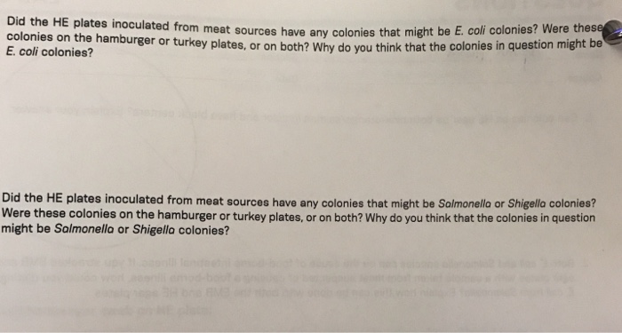 Solved Did the HE plates inoculated from meat sources have | Chegg.com