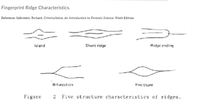 Solved From the fingerprint, which lines point to a short | Chegg.com