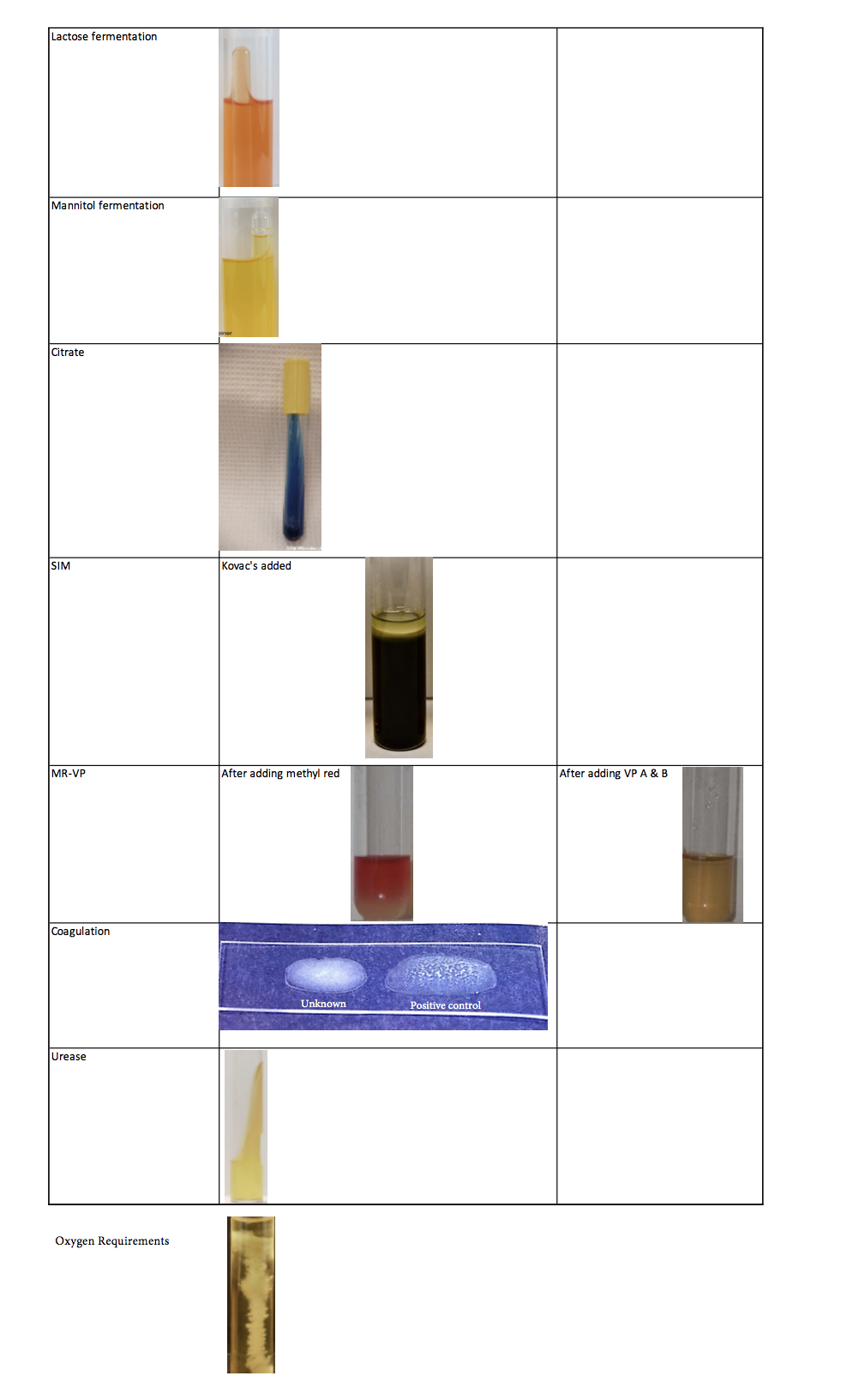 Solved Determining the Identity of an Unknown 1. Interpret | Chegg.com