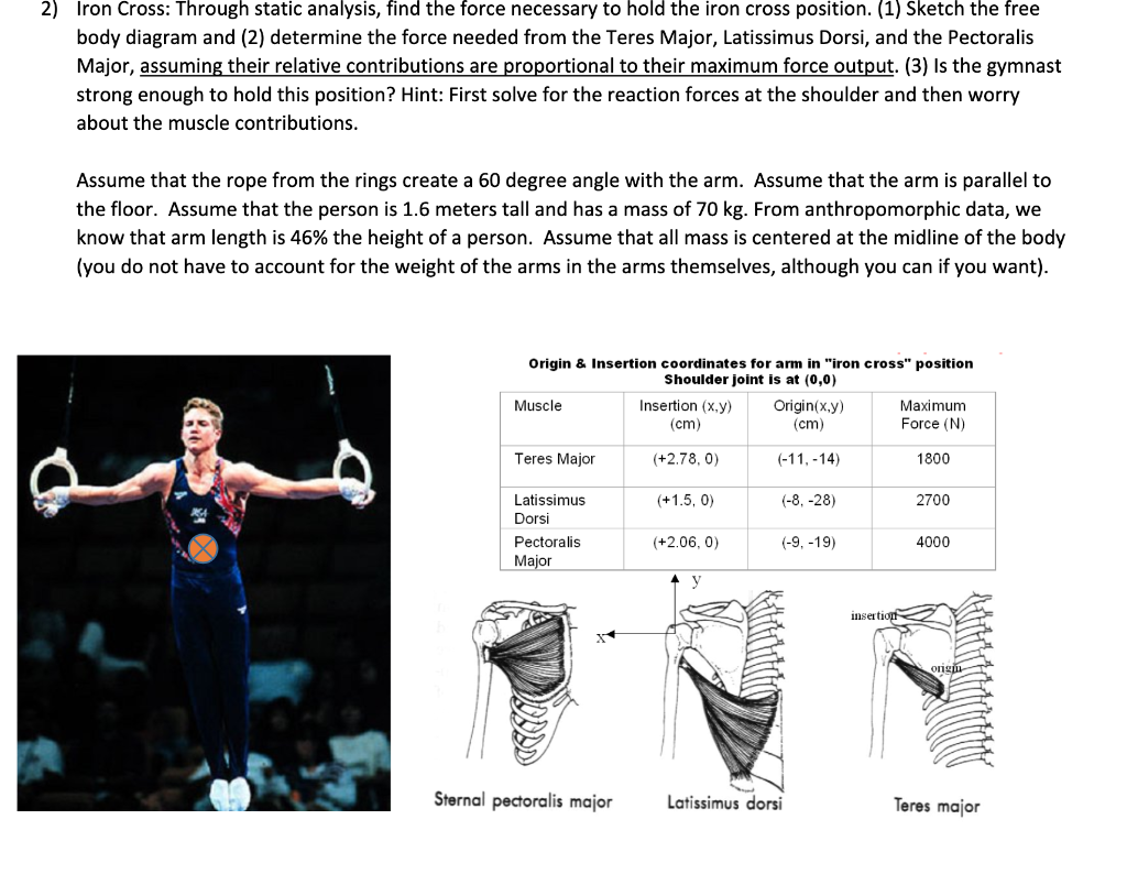 Solved 4) In the Iron Cross Problem, what is the length of | Chegg.com