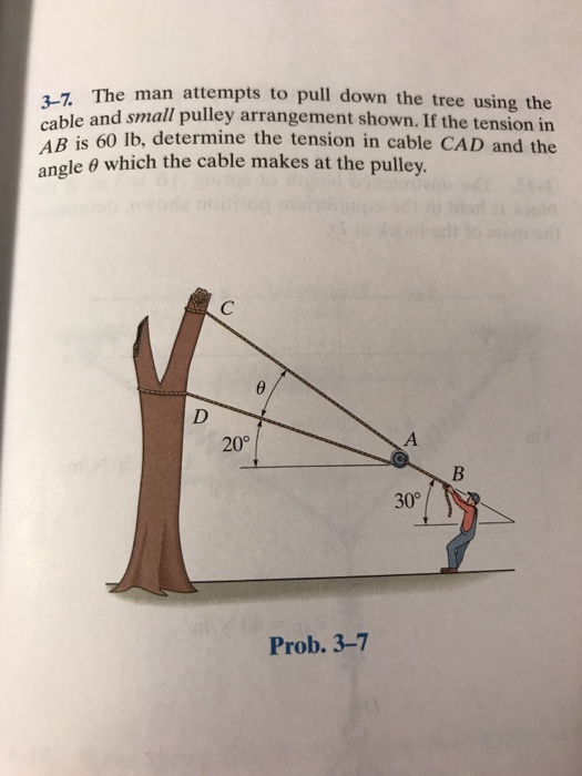 Solved The man attempts to pull down the tree using the | Chegg.com
