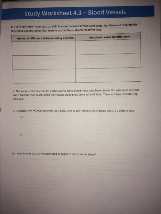 Solved Study Worksheet 4.3- Blood Vessels describe the 6. | Chegg.com