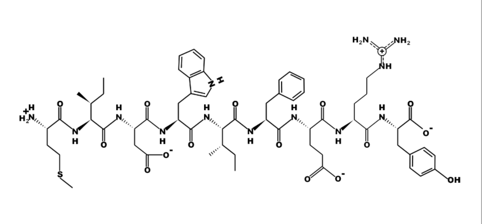Solved 1. Input the sequence of the above peptide using only | Chegg.com
