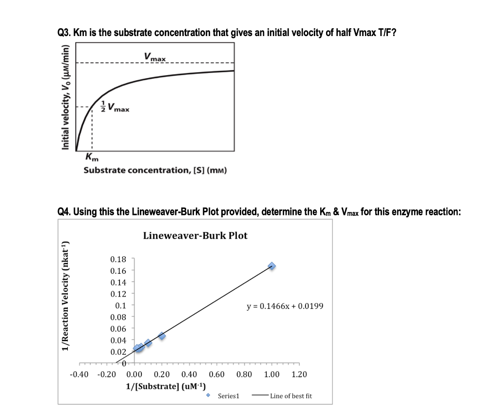 Solved Q1. This diagram shows product formation over time at | Chegg.com