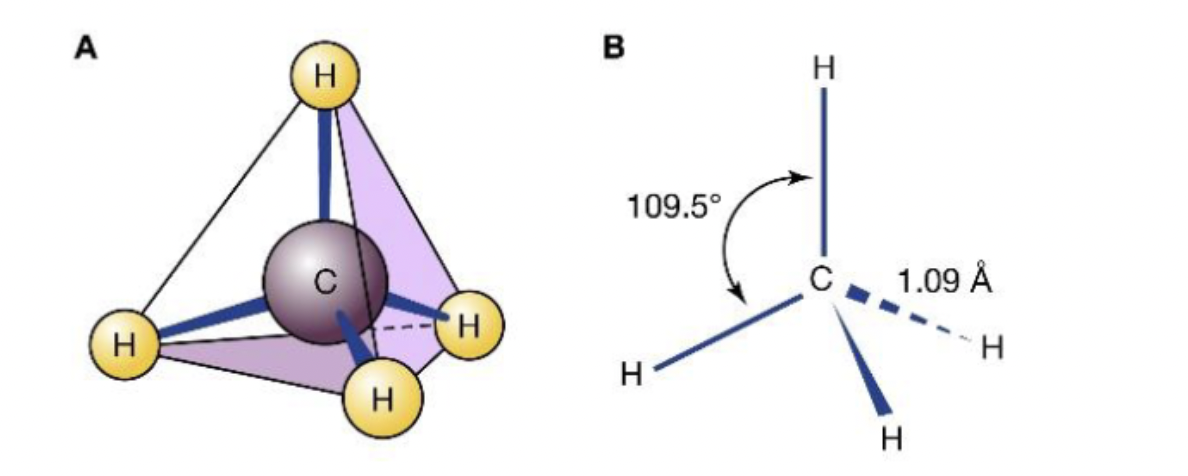 Solved The methane molecule, which makes up natural gas, a | Chegg.com