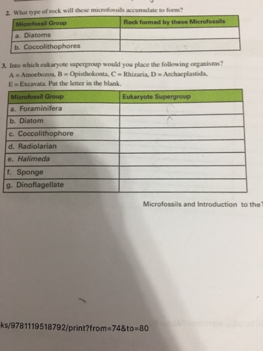 Solved microfossils accumulate to form? 2. What type of rock | Chegg.com