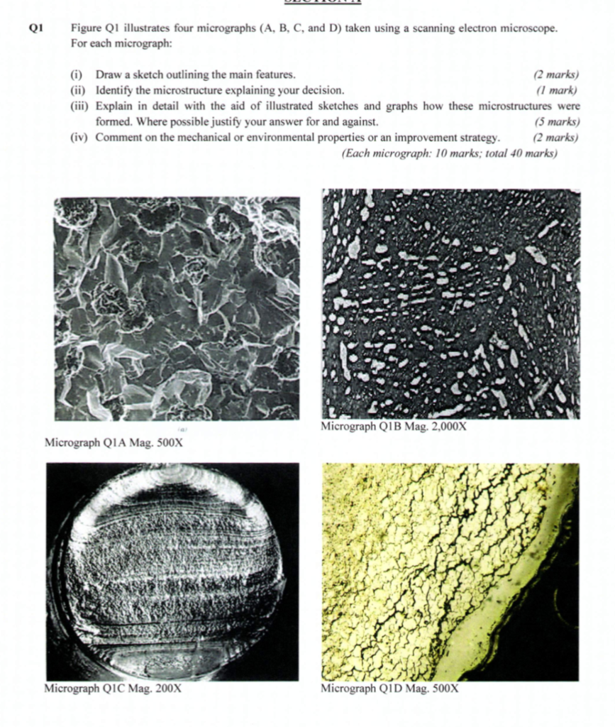 Solved Q Figure Q1 illustrates four micrographs (A, B, C, | Chegg.com