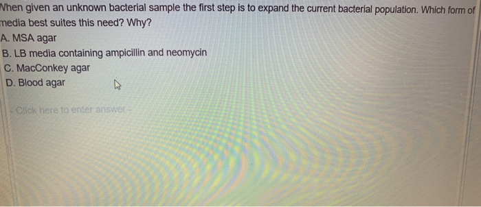 Solved When given an unknown bacterial sample the first step | Chegg.com