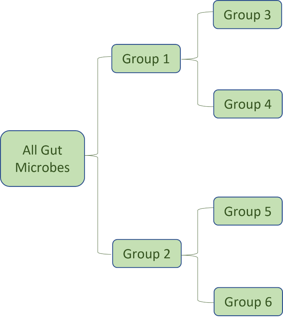 Using the image above create a dichotomous key | Chegg.com