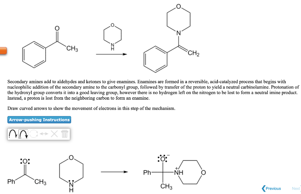 Solved -OH NH-OH Primary amines add to aldehydes and ketones | Chegg.com