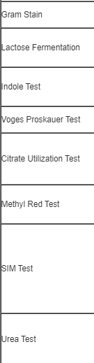 Solved Gram Stain Catalase Test Turbidity Test Starch | Chegg.com