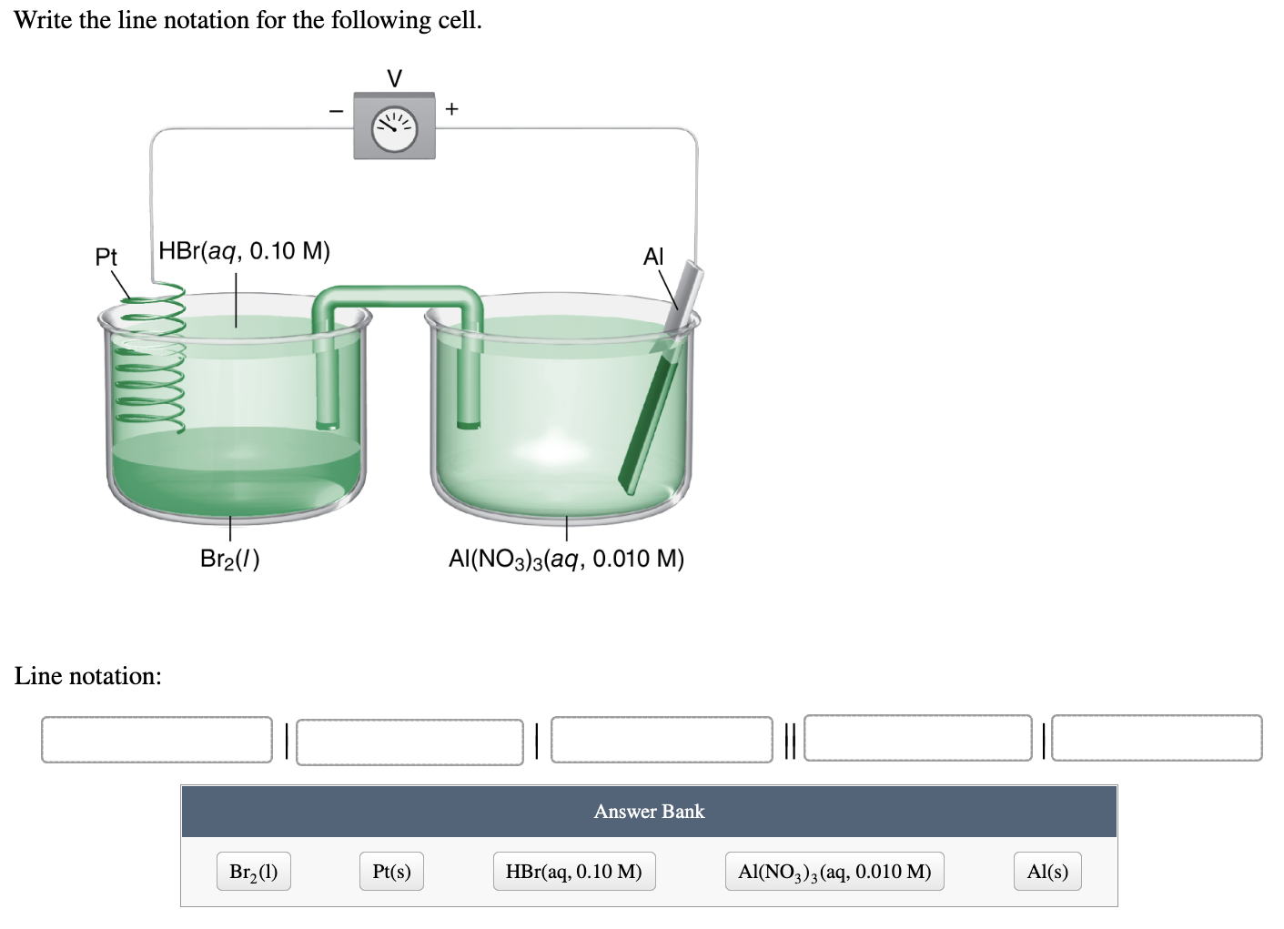 Solved Write the line notation for the following cell. Line | Chegg.com