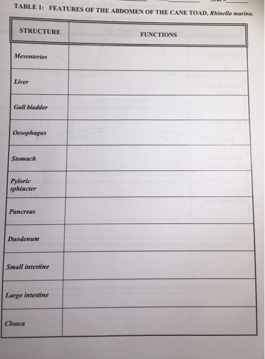 Solved TABLE 1: FEATURES OF THE ABDOMEN OF THE CANE TOAD, | Chegg.com