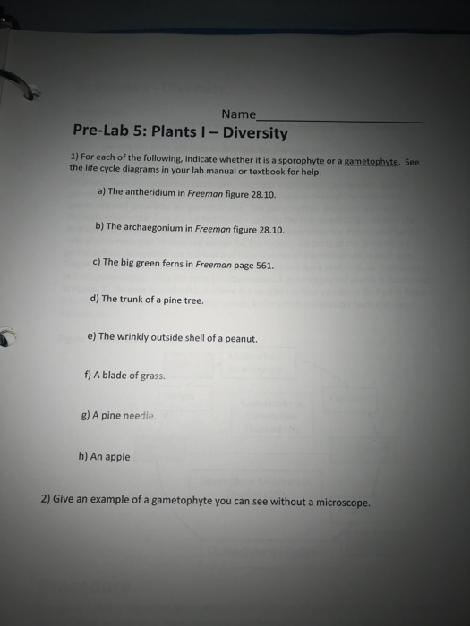 Solved Name Pre-Lab 5: Plants I- Diversity 1) For each of | Chegg.com