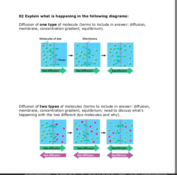 Diffusion Diagram
