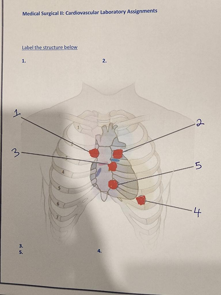 Solved 3 3. 5. Medical Surgical II: Cardiovascular | Chegg.com