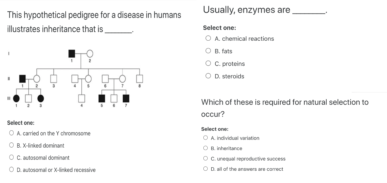 Solved Usually, enzymes are This hypothetical pedigree for a | Chegg.com