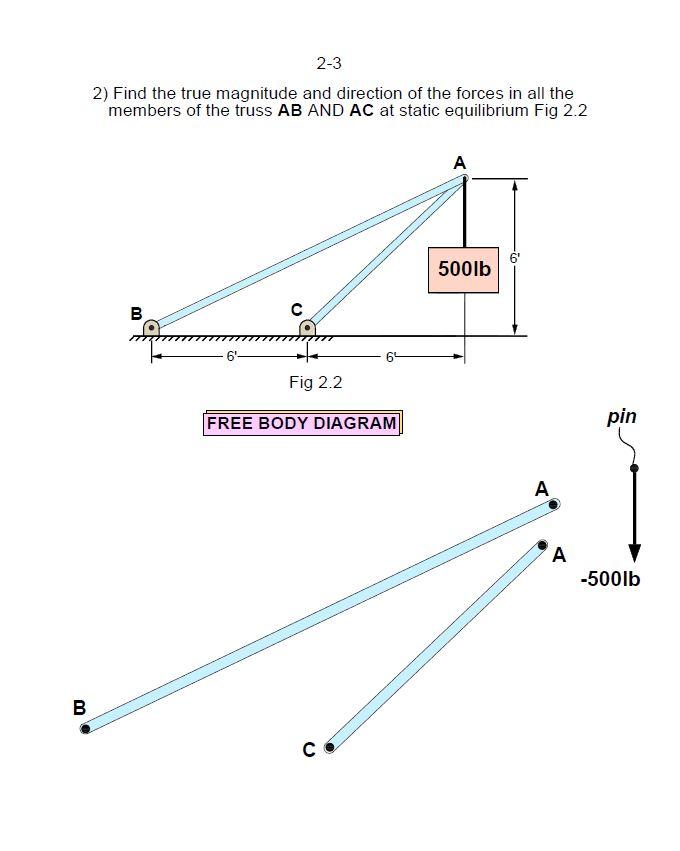 Solved Find the true magnitude and direction of the forces | Chegg.com