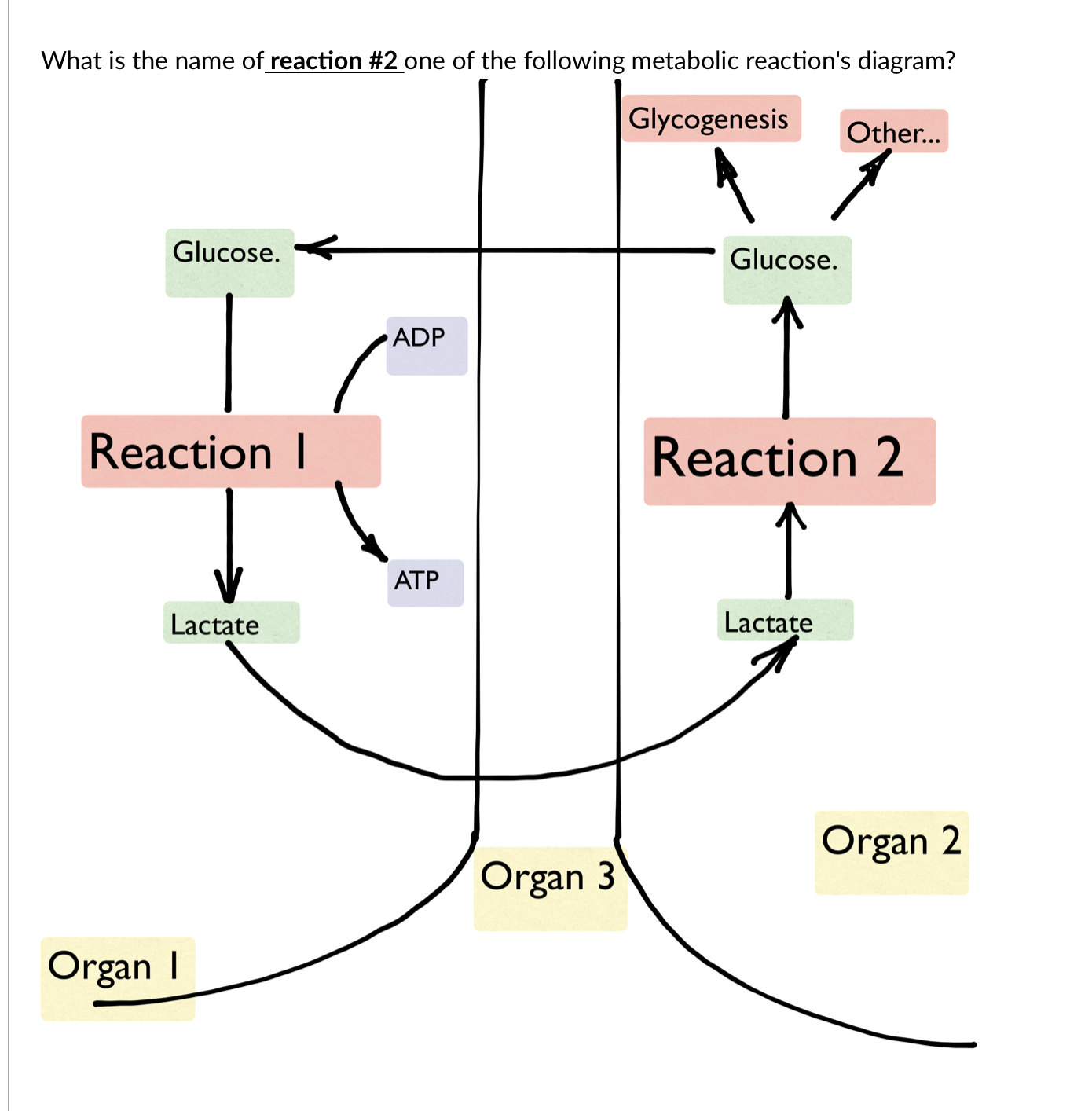 Solved What is the name of reaction \#2 one of the following | Chegg.com
