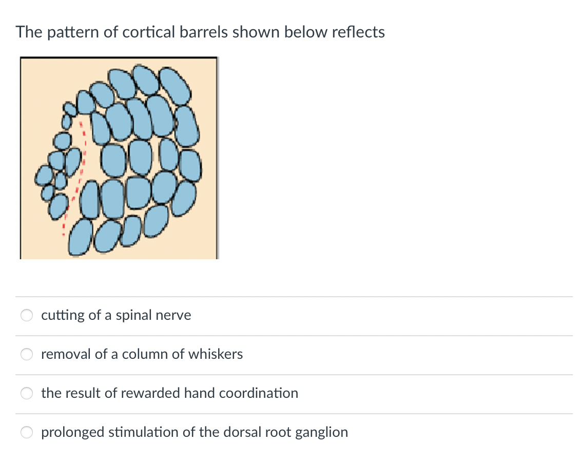 Solved After being exposed to a few electric shocks, rats | Chegg.com