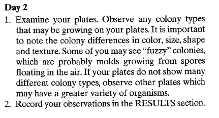 Solved PURPOSE To learn how to pour nutrient agar plates and | Chegg.com