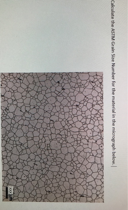 Solved Calculate the ASTM Grain Size Number for the material | Chegg.com