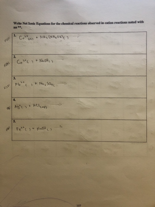 Solved Write Net Ionic Equations for the chemical reactions | Chegg.com