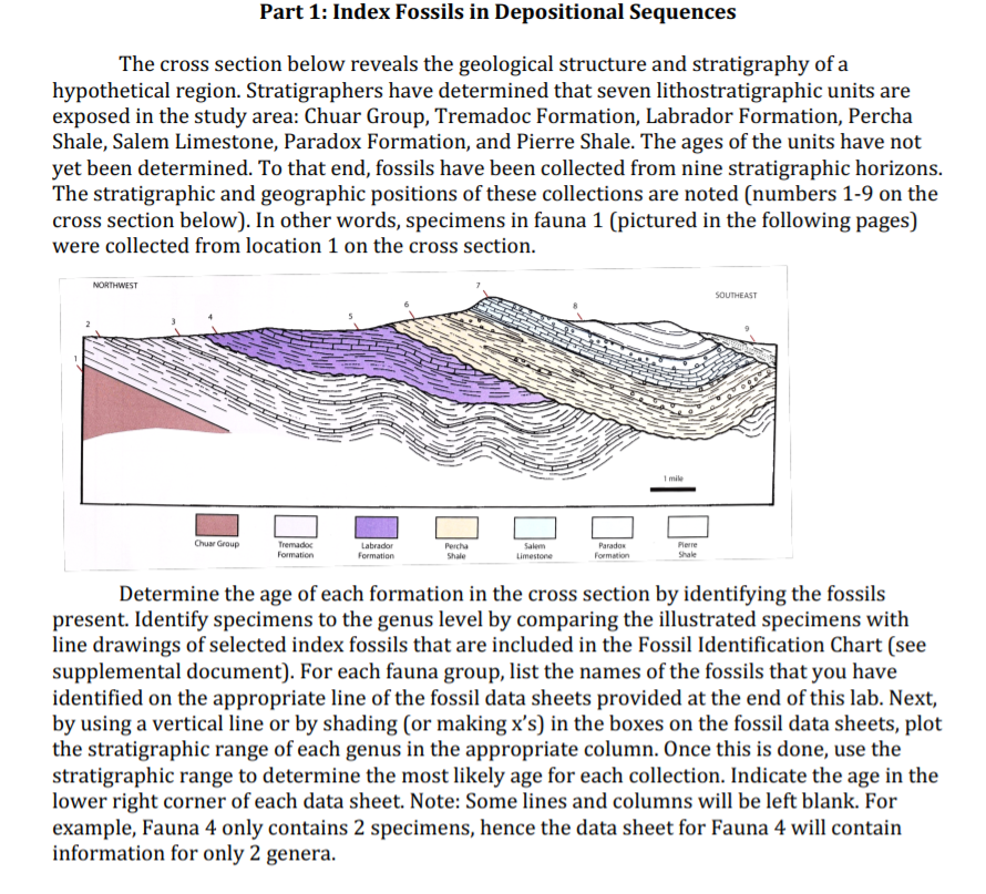 Solved Part 1: Index Fossils in Depositional Sequences The | Chegg.com