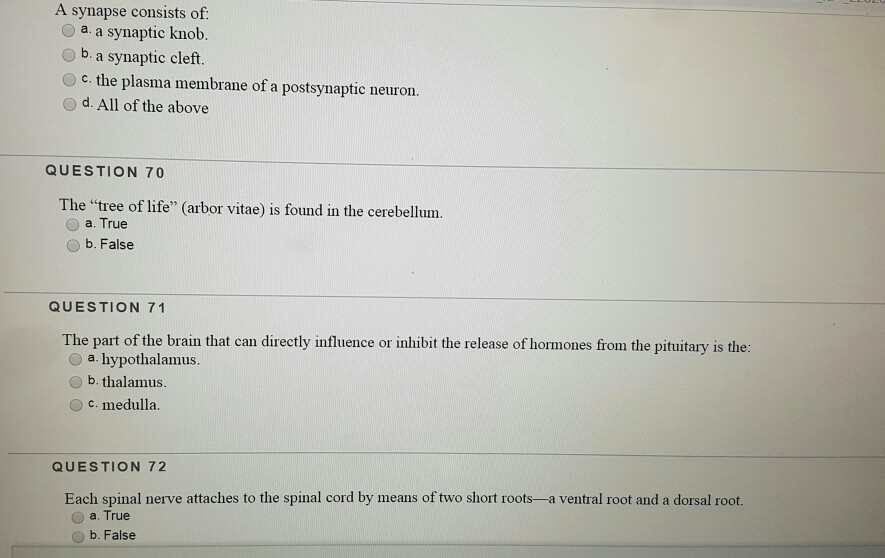 Solved A synapse consists of o a. a synaptic knob. O b. a | Chegg.com