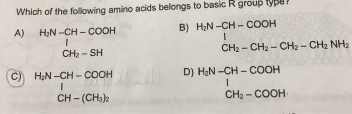 Solved Which of the following amino acids belongs to basic R | Chegg.com
