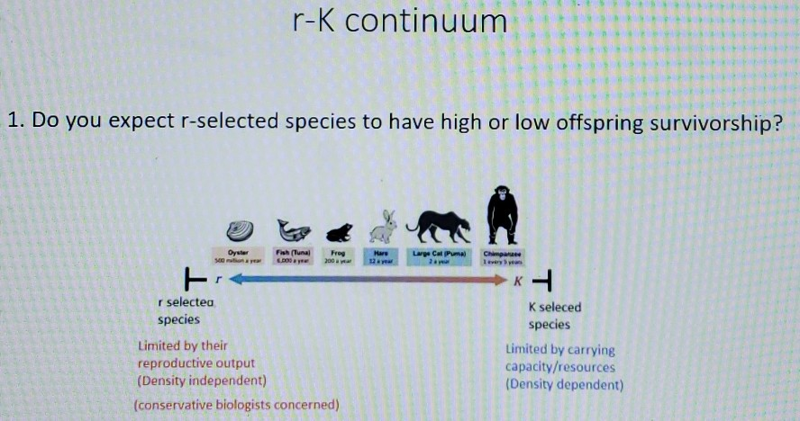Solved r-K continuum 1. Do you expect r-selected species to | Chegg.com