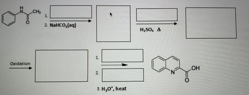 Solved Draw structures or write the chemical formulas for | Chegg.com