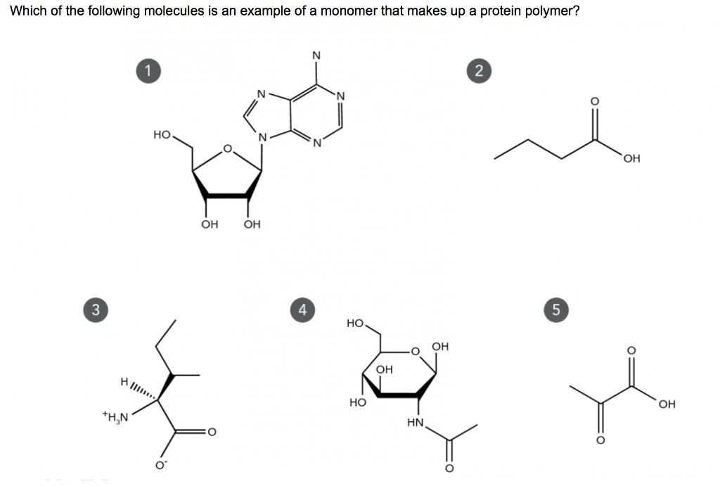 Solved Which of the following molecules is an example of a | Chegg.com