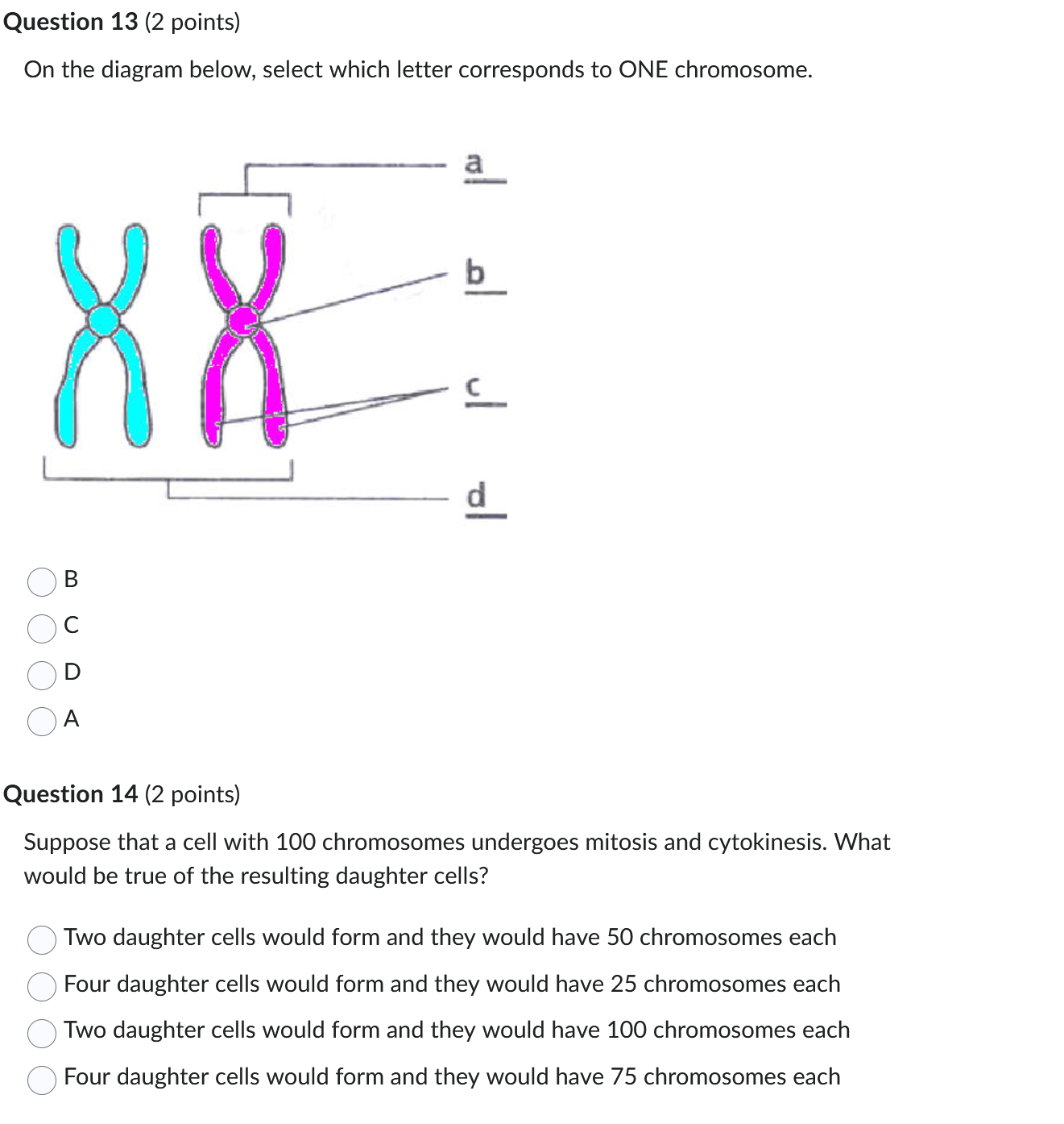 Solved On the diagram below, select which letter corresponds | Chegg.com