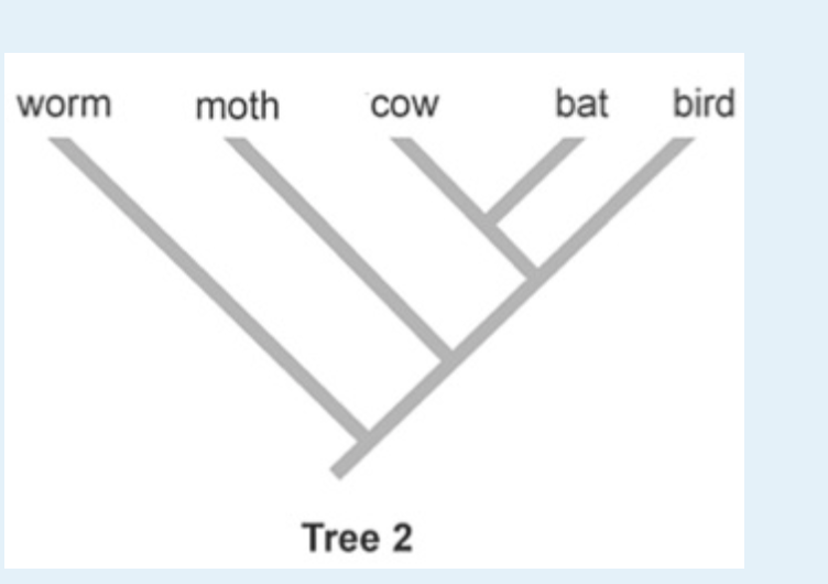 Solved Examine Tree 2 (above) and the following statements. | Chegg.com