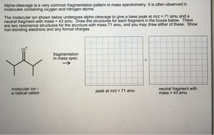 Solved Alpha-cleavage is a very common fragmentation pattern | Chegg.com