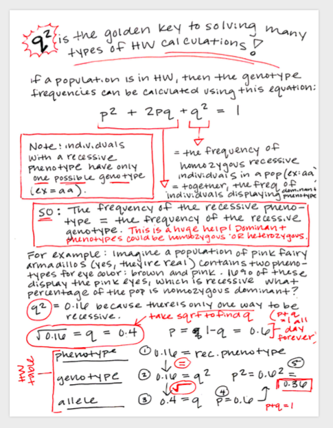 Solved 1. To begin this problem, write out the equation used | Chegg.com