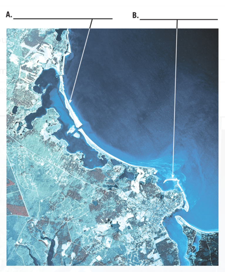 Solved 2. Next to each of the features listed below, | Chegg.com