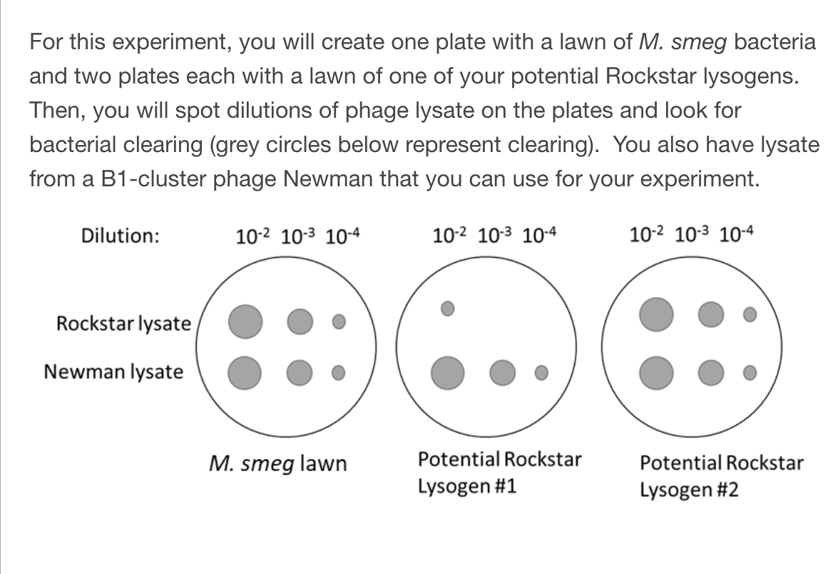 Solved Throughout this activity, you go through an | Chegg.com