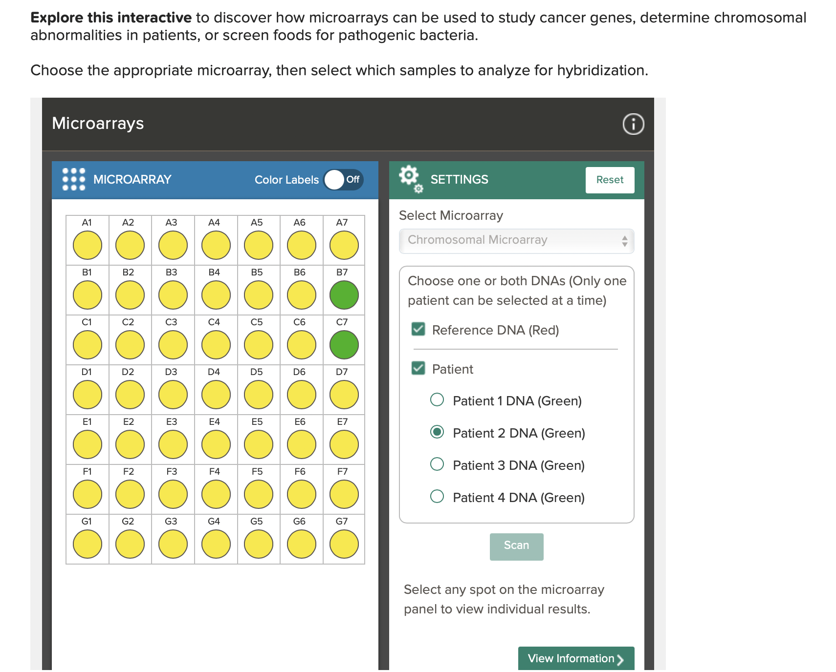Solved Explore this interactive to discover how microarrays | Chegg.com