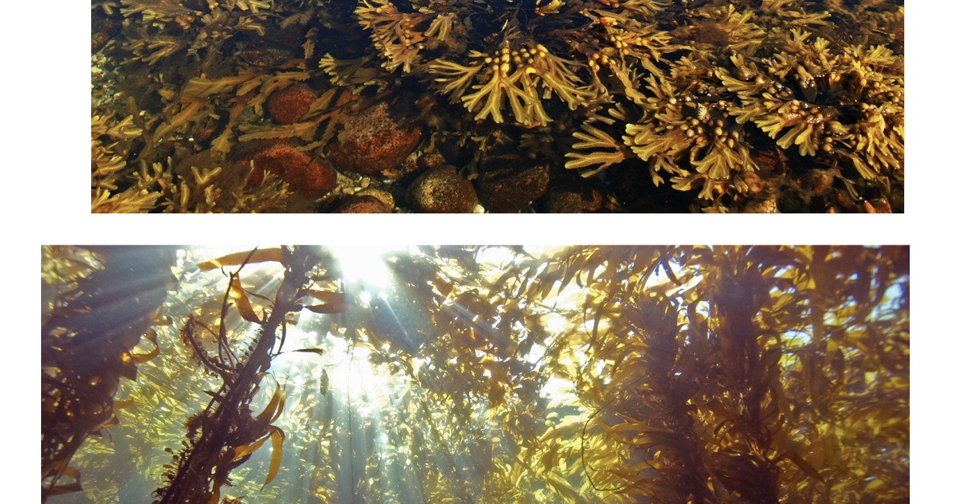 Solved 14. Complete the table below to summarize important | Chegg.com