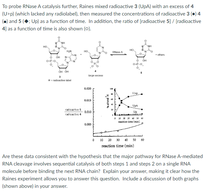 Solved To probe RNase A catalysis further, Raines mixed | Chegg.com