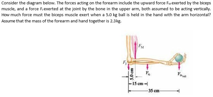 Solved Consider the diagram below. The forces acting on the | Chegg.com