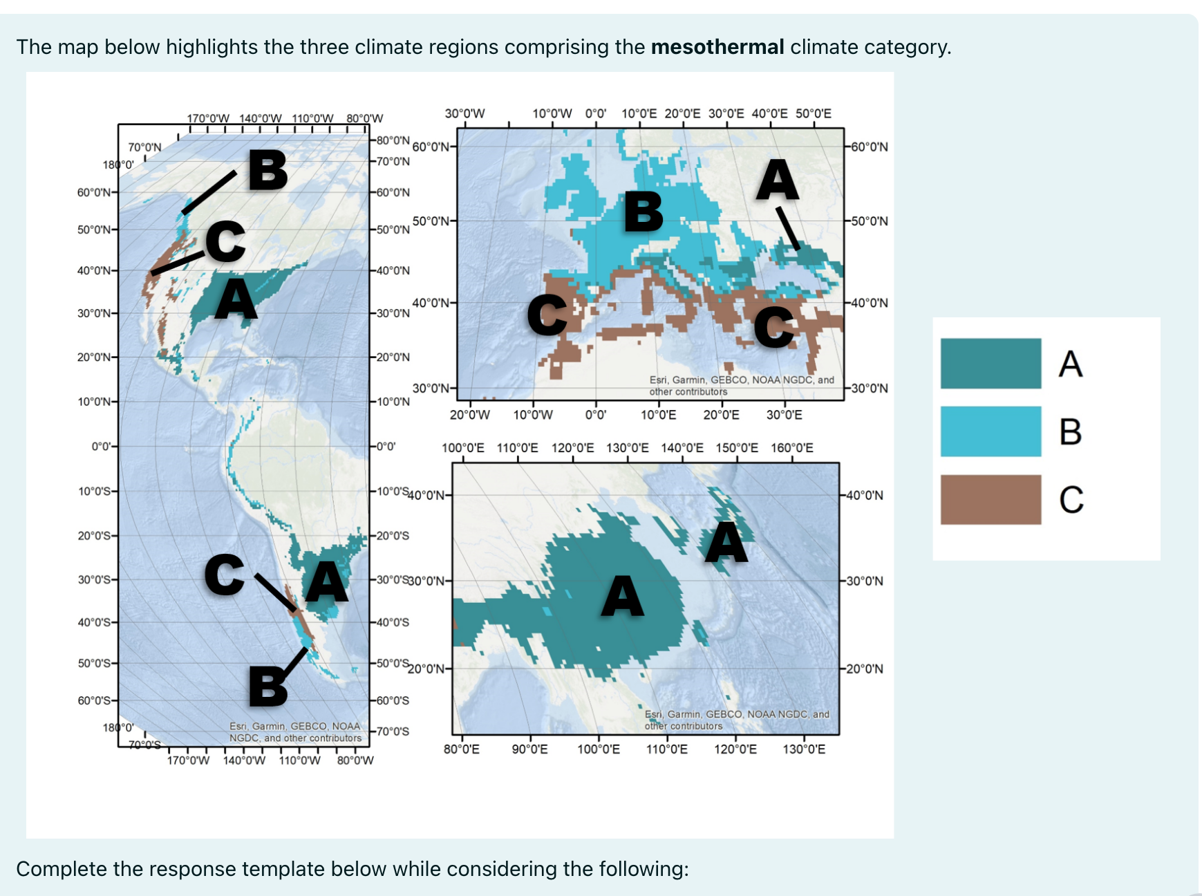 Solved The capital letters in the response template | Chegg.com