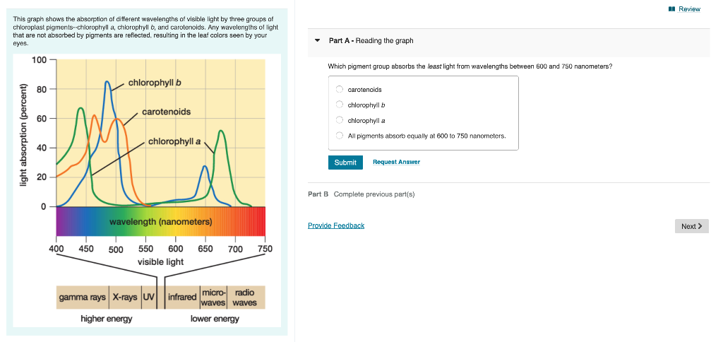 Solved - A Review This graph shows the absorption of | Chegg.com