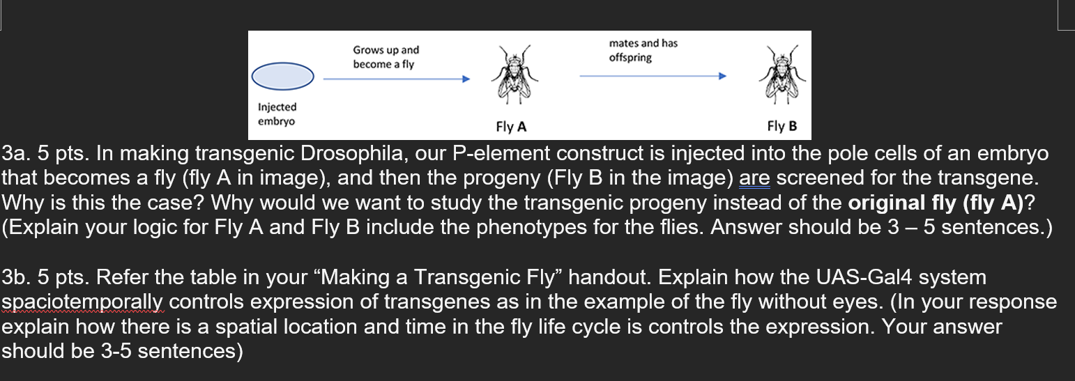 Solved Grows up and become a fly mates and has offspring | Chegg.com